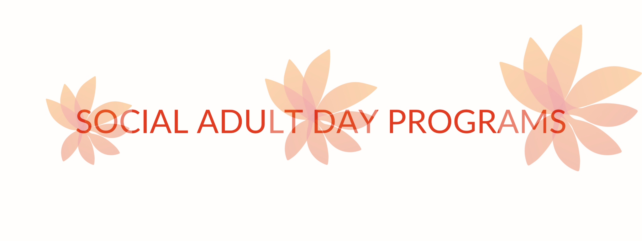 Social Adult Day Programs | LifePath